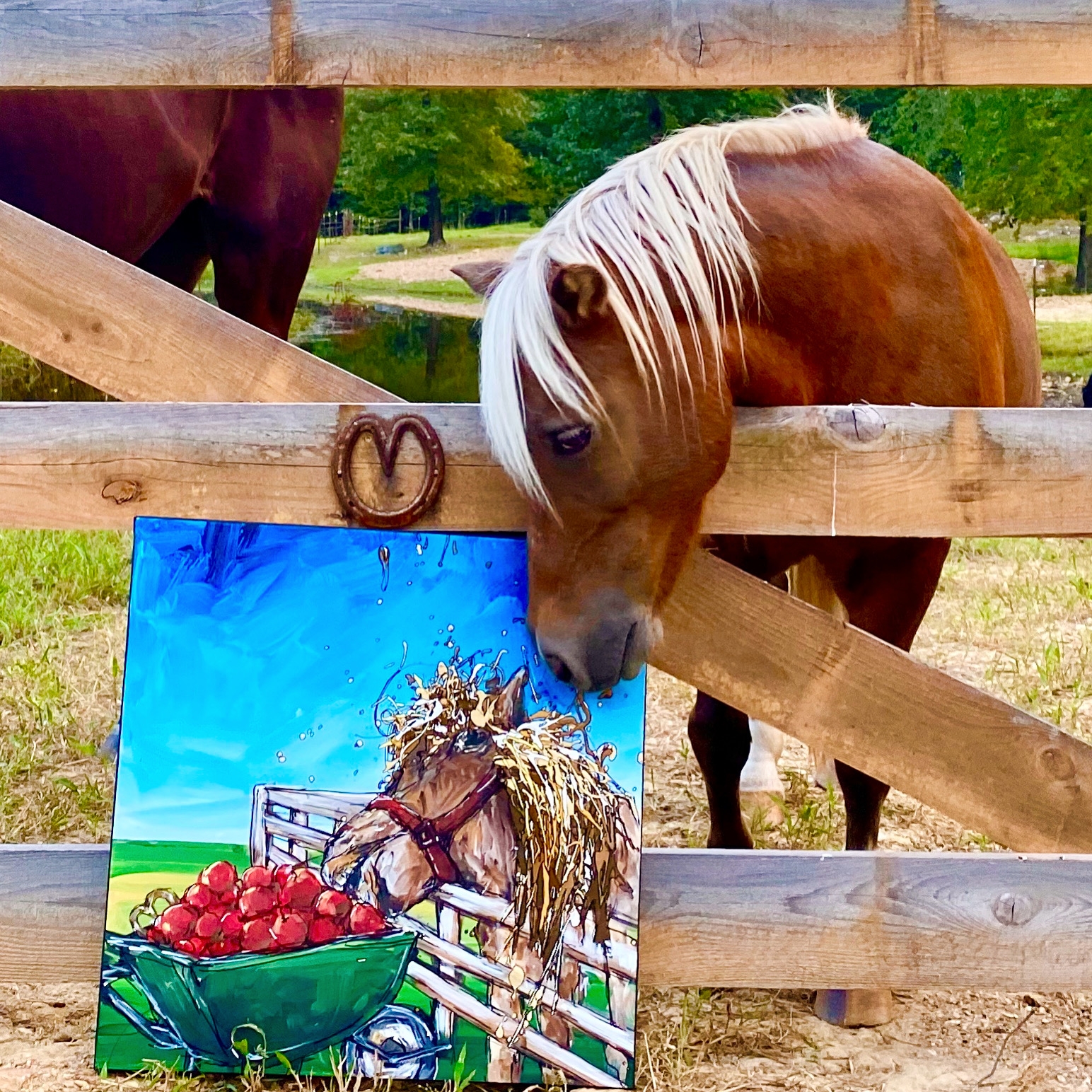 Winston the Pony – The Flying Ace Farm